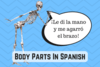 Body Parts In Spanish - Learning With Fun Expressions
