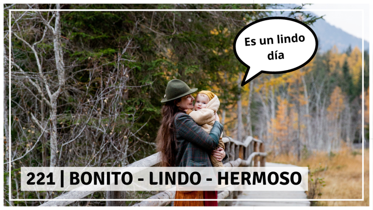 221 | Bonito, Lindo, Hermoso y Otros: ¿Cómo usarlos?